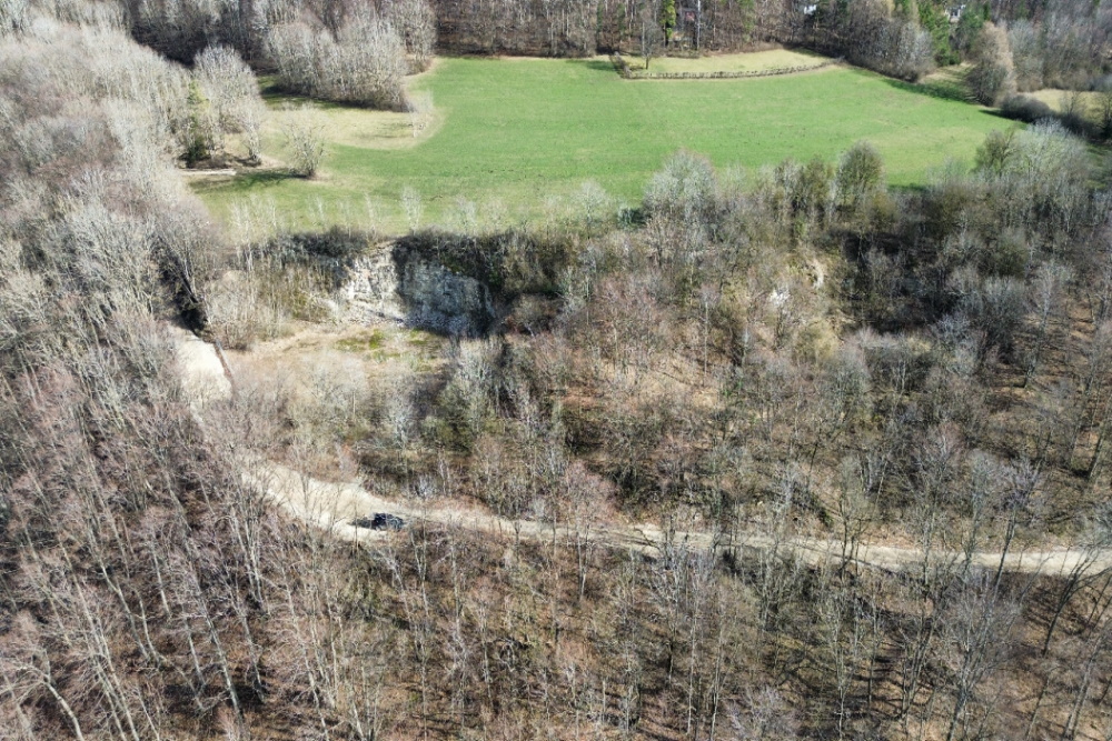 Pflegearbeiten im Steinbruch Schorn zwischen Eschenbach und Bad ...